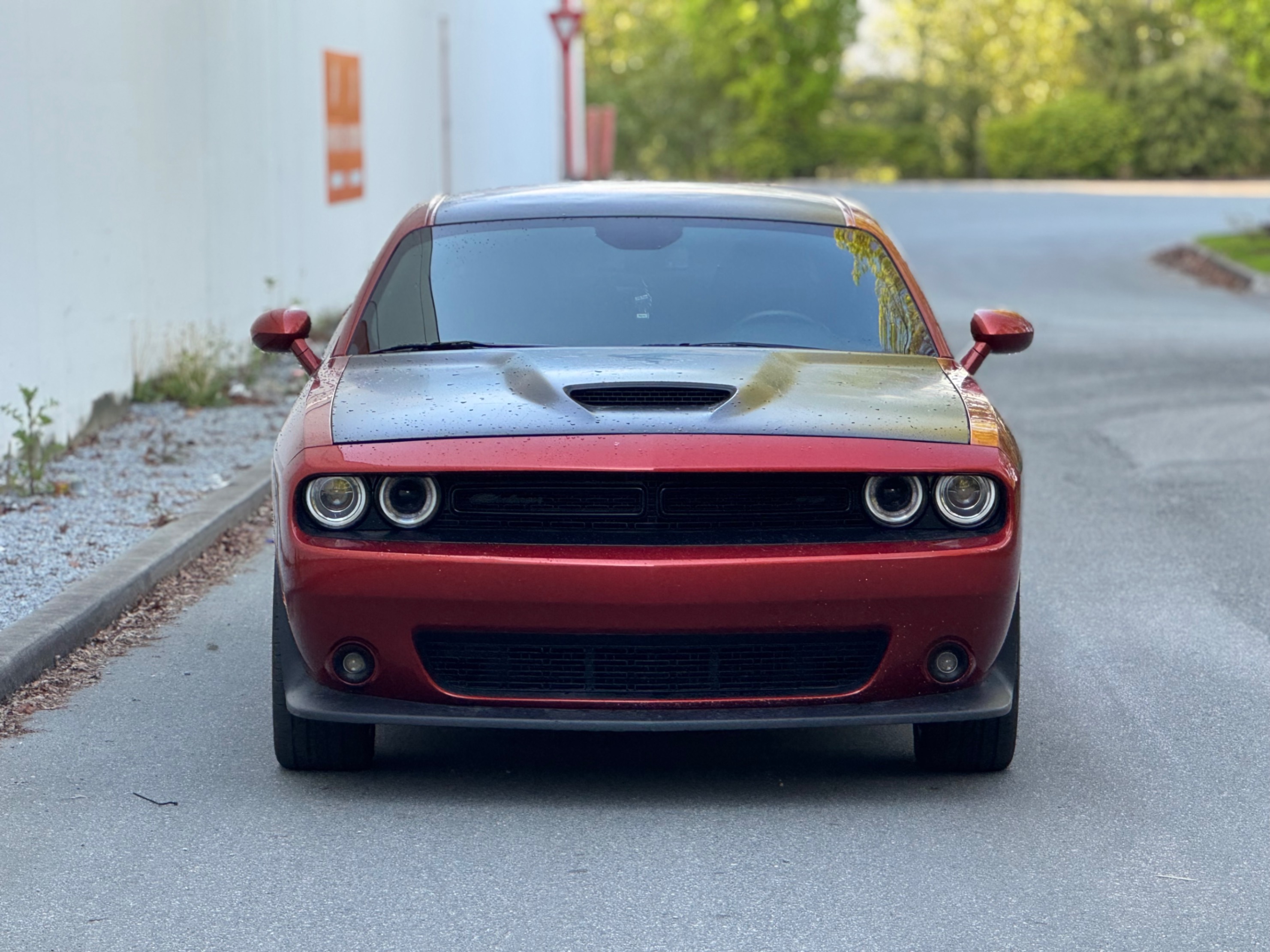 Surrey Used Car Dealer | New and Used Car For Sale | 1452782 BC LTD