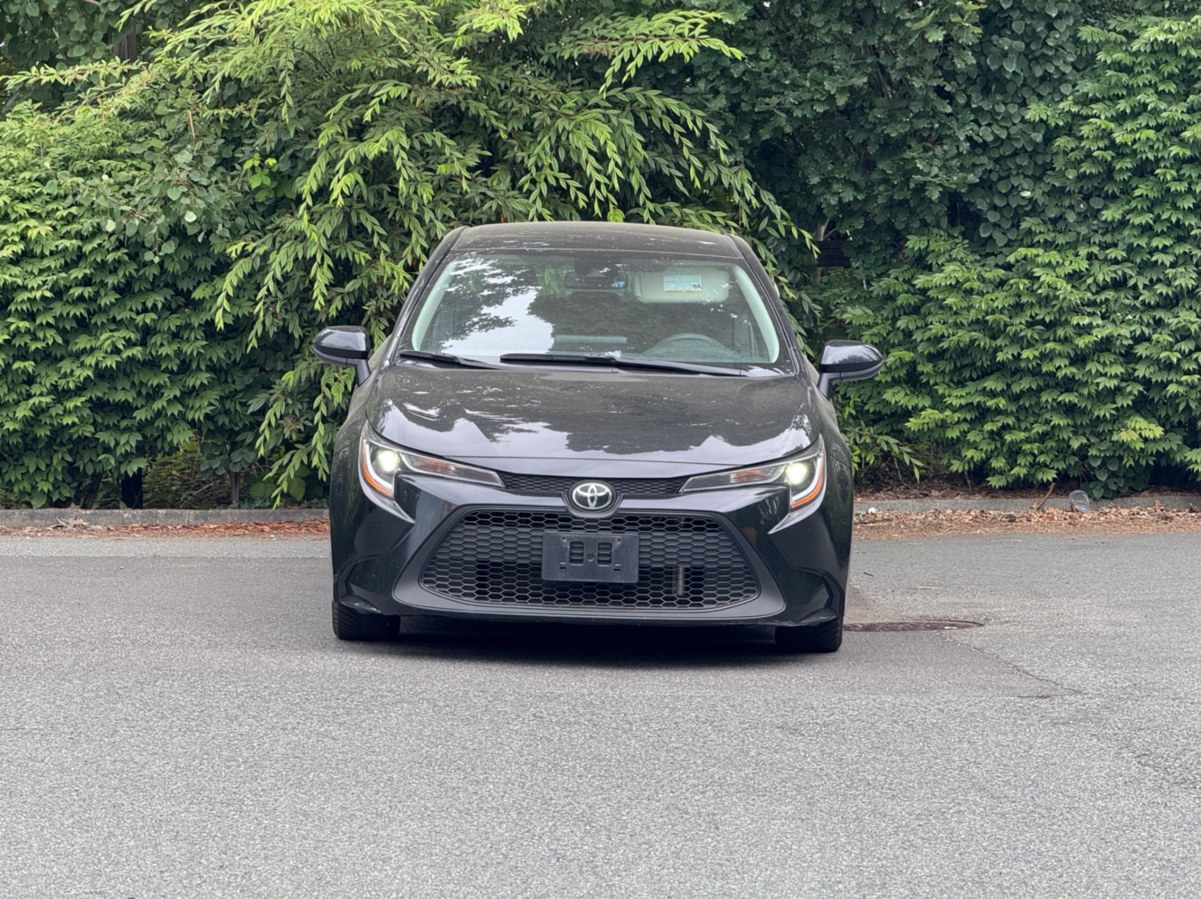 Surrey Used Car Dealer | New and Used Car For Sale | 1452782 BC LTD